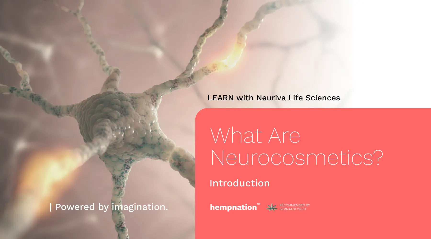 What Are Neurocosmetics? Skin-Brain Skincare – Hempnation